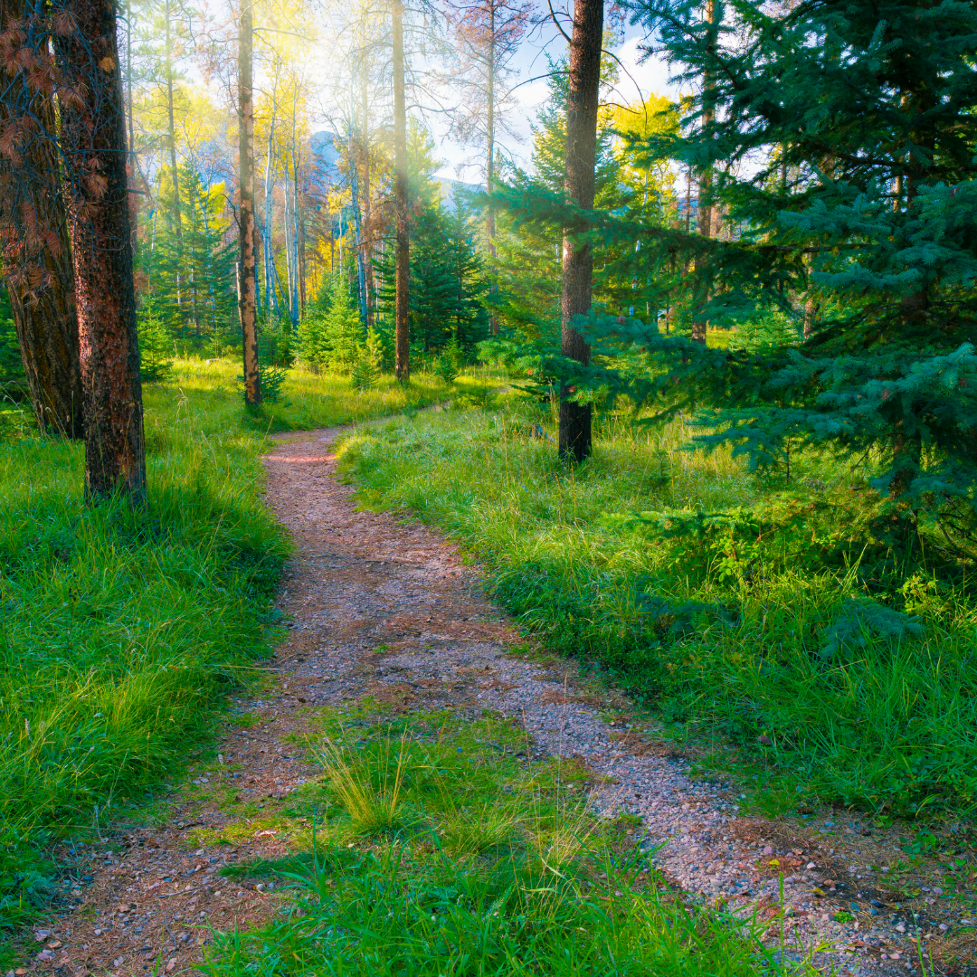 Tab dig med en Sense livsstilsændring - SenseMyDiet